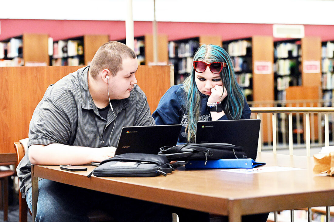 The gold standard: Local public libraries recognized for providing ...